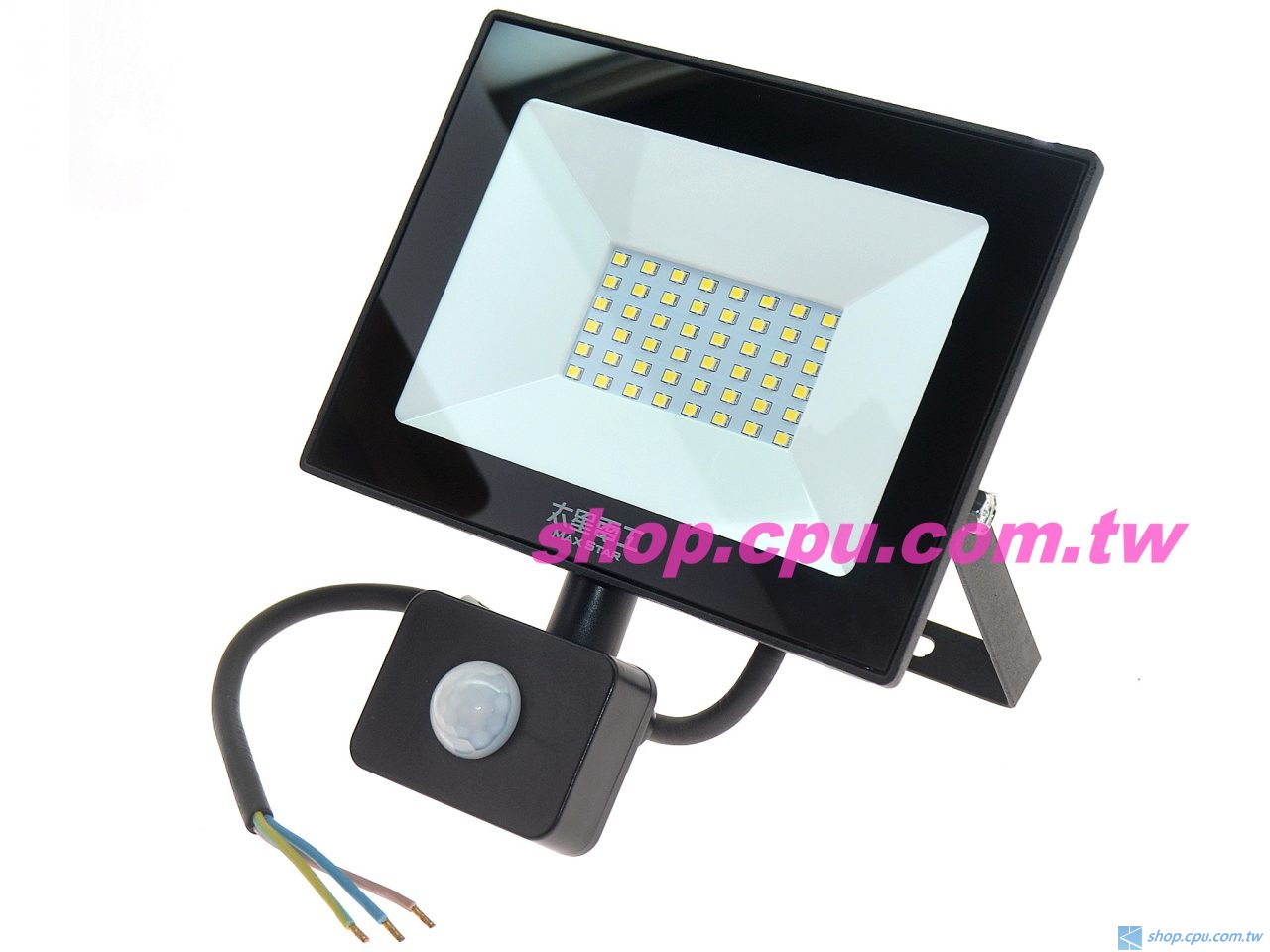 WDC-2030 (WDC2030) 2100流明AC220V白光120度感應投射LED燈 | 廣華電子